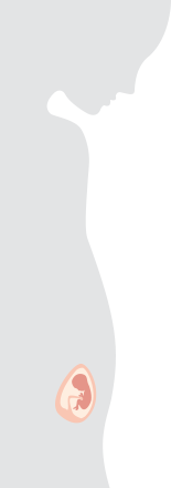 14. SSW (Schwangerschaftswoche): Das erlebst Du in der 14 ...