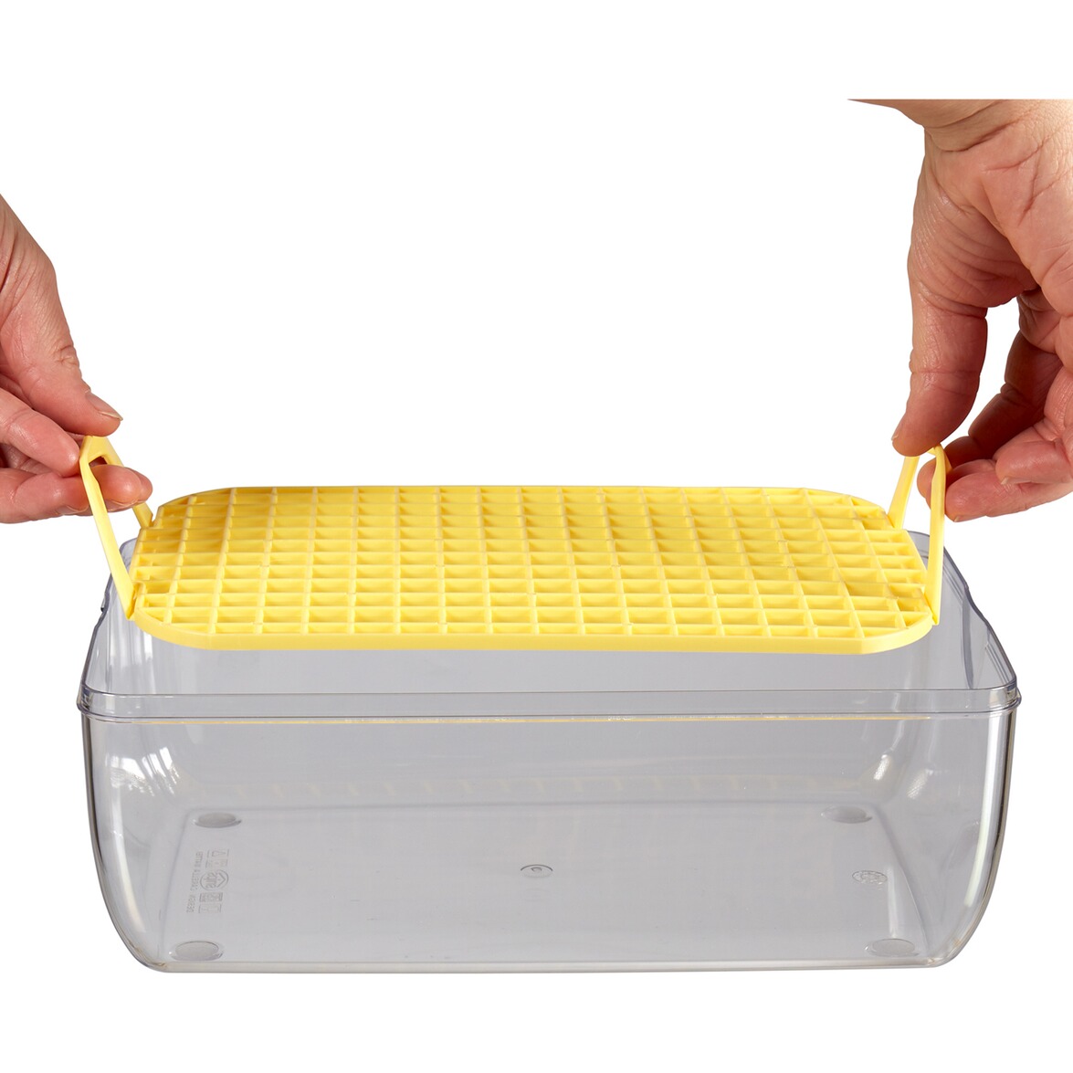 Boîte de conservation fromage à commander en ligne | Maison & Confort