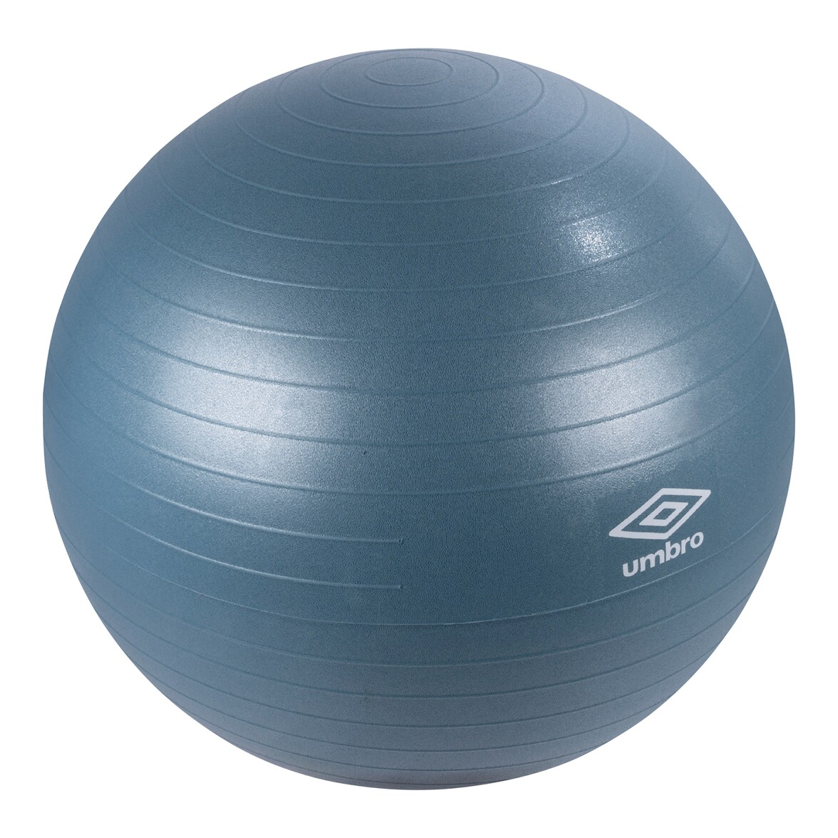 DMH Fitness Ball online kaufen | Die moderne Hausfrau